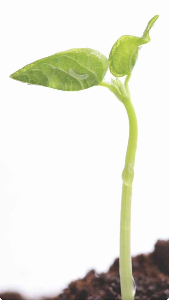 Suplemento Fertility Pro for Women – Medical Nutrition